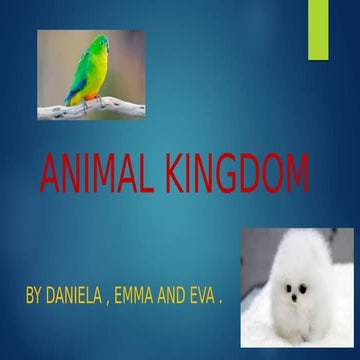 Animal kingdom daniela emma eva | PDF