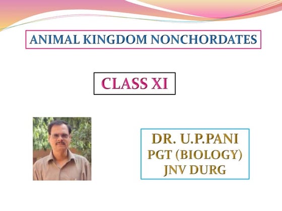 BIOLOGY ANIMAL KINGDOM CLASS. 11 NCERT.. | PPTX