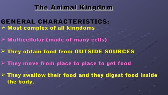 Kingdom Animalia Characteristics