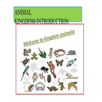 Animal kingdom introduction | PDF