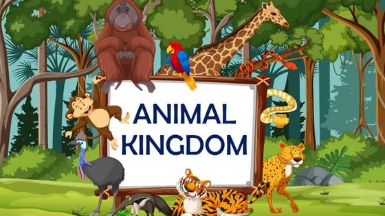 Animal kingdom class 11 | PPTX