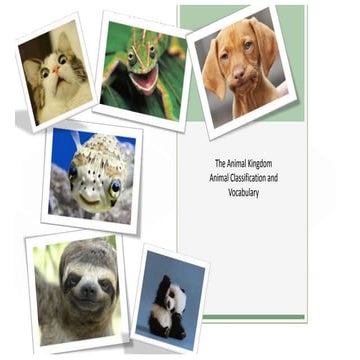Animal adaptations | PPT
