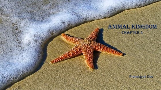 BIOLOGY ANIMAL KINGDOM CLASS. 11 NCERT.. | PPTX