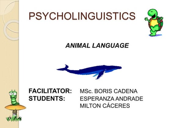 Animal communication | PPT