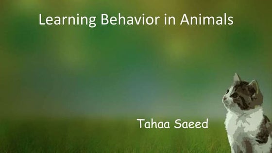 animal behaviours and its types with examples | PPTX