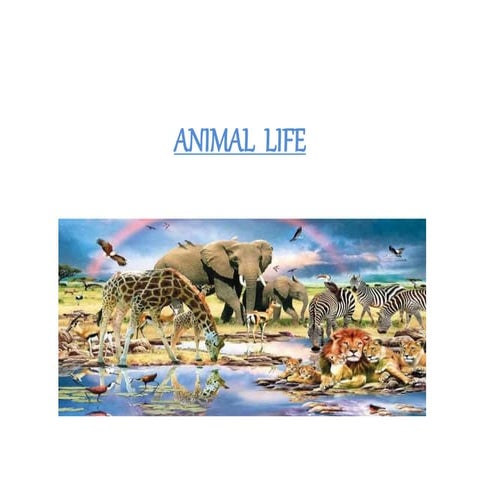 Movement of animals | PPTX