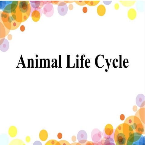 Animal life cycle | PPTX