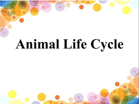 Life cycle | PPT