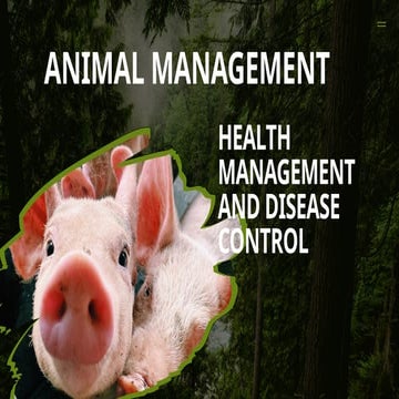 Presentation on the animal management.pptx
