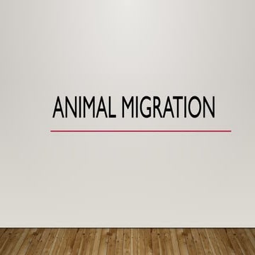 Animal migration and jaksmskwwowsksskkkk | PPTX