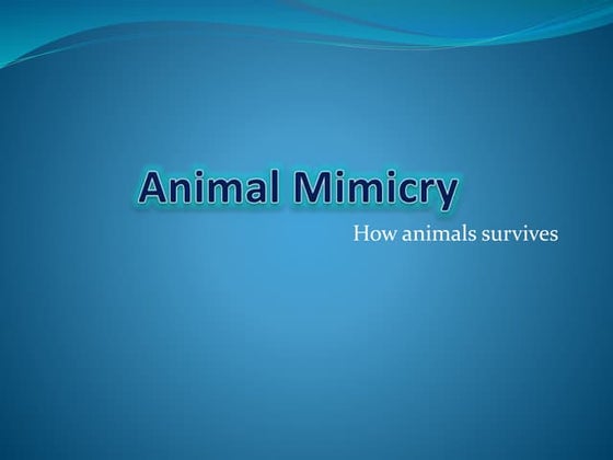 Mimicry (Evolutionary Biology) | PPTX | Reptiles | Pets