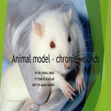 Animal model – chronic wounds by Dr Vishal.pptx
