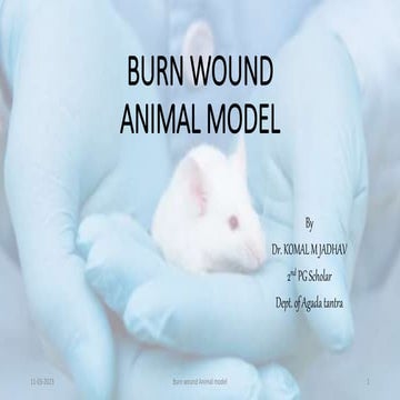 ANIMAL MODEL ON BURN WOUND.pptx