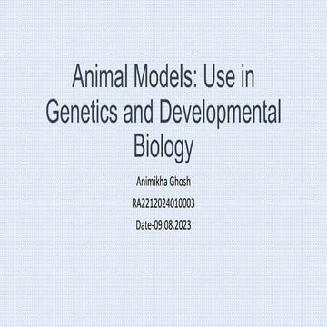 Animal Models- Use in Genetics and Developmental Biology.pptx
