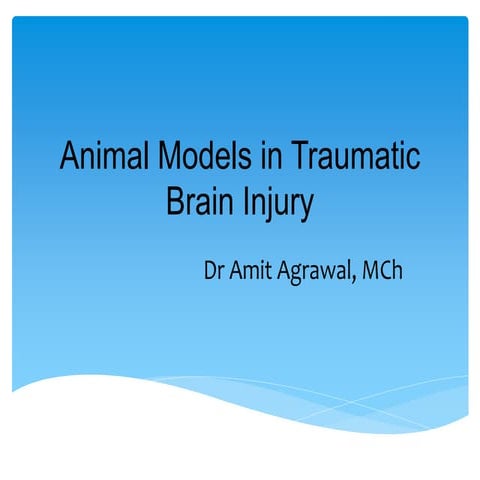 Animal Models in Traumatic Brain Injury | PPT