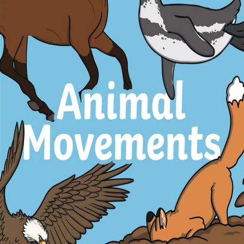Animal Movements.pptx