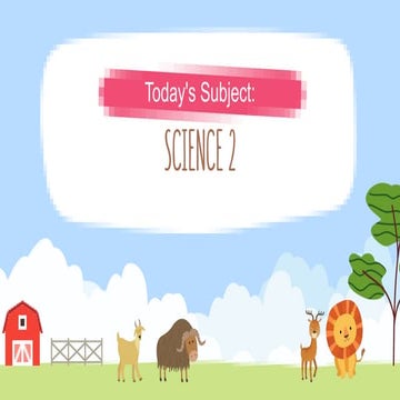 Animal Needs-SCIENCE CLASSROOM OBSE.pptx