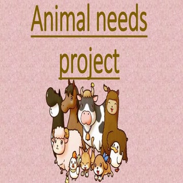 Animal needs project | PPTX