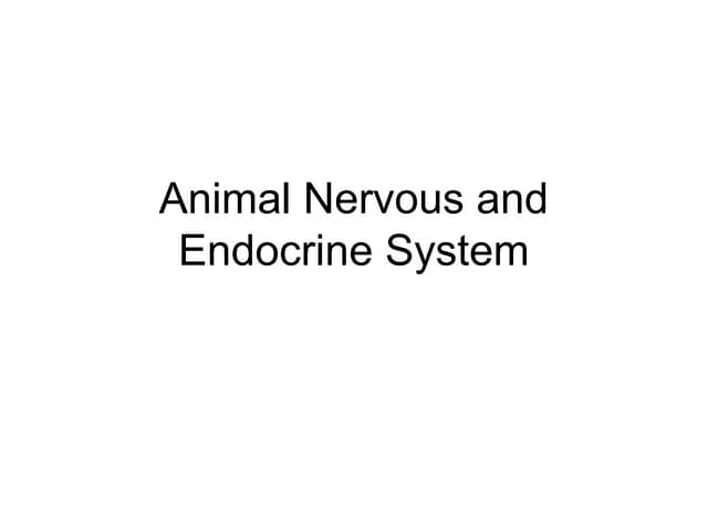 The Endocrine System | PPT
