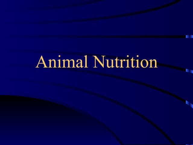 The carbohydrates in animal nutrition | PPTX