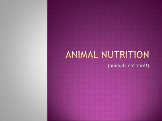 Grade 12 Agricultural Science Notes Animal nutrition | DOC | Digestive ...