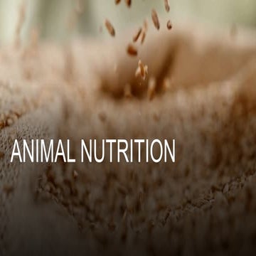 ANIMAL NUTRITION.pptx