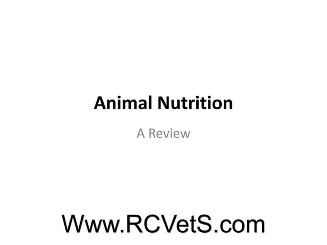 ANIMAL NUTRITION AND FEEDING LECTURE CONTENT | PDF