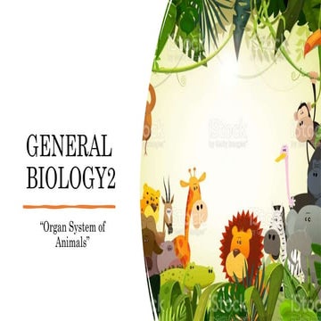 Animal Organ System.pptx