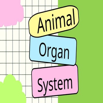 Animal Organ System (Grade 11 Earth and Life Science Lesson) | PPTX