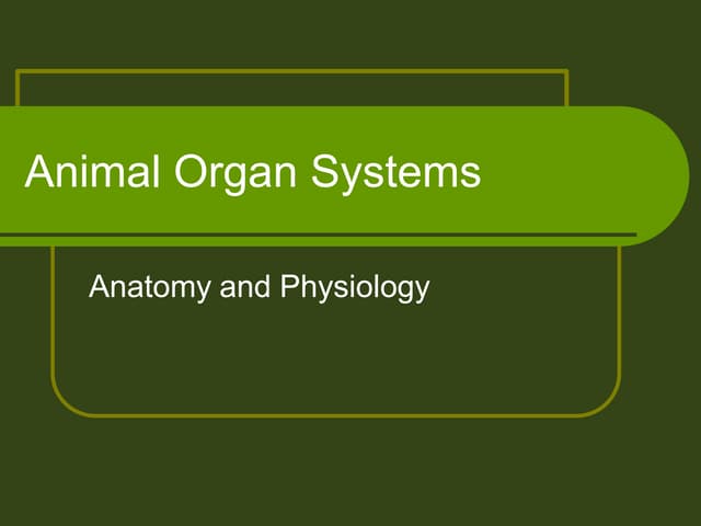 Animal organ systems | PPTX