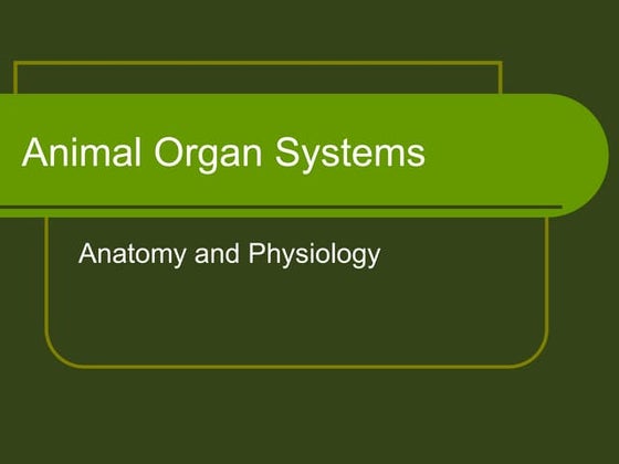 Animal and plant organs & systems | PPT
