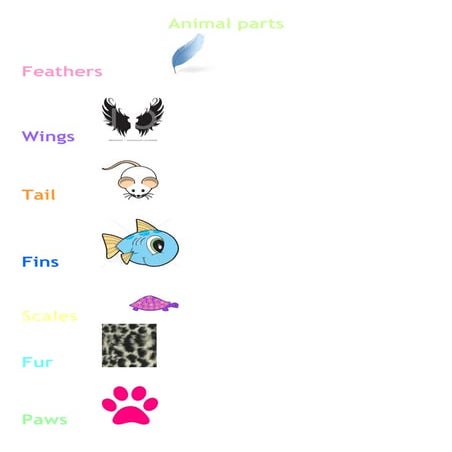 Animal parts | DOC