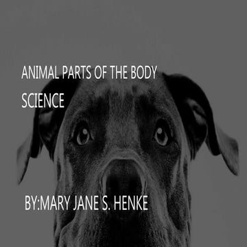 Animal parts of the body (2) | PPTX