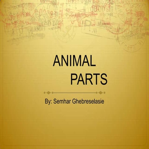Animal parts ppt | PPTX
