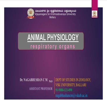 Animal physiology respiration | PPTX
