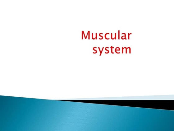 Animal skeletal system | PDF | Death, Injury, or Military Conflict ...