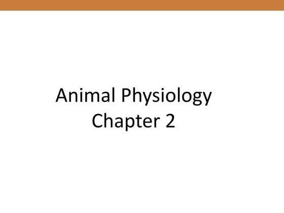 Animal Physiology Intro | PPT