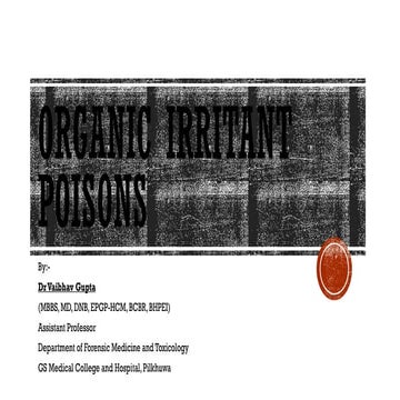 Italian Mafia Slang Terms | PDF