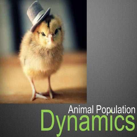 Animal population | PPTX