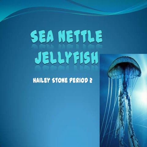 Animal powerpoint | PPT