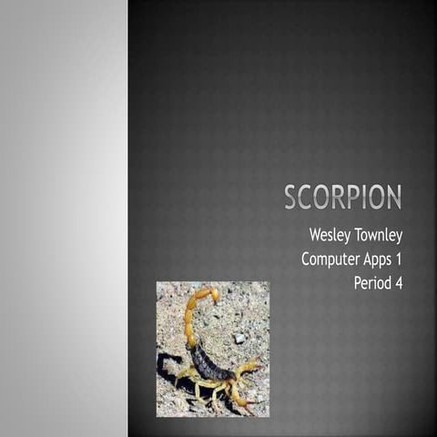 Animal powerpoint | PPTX