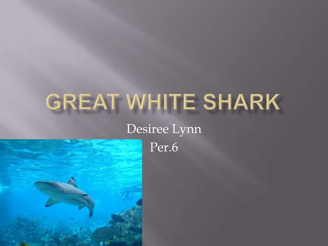 All about Sharks Great White Sharks.pdf