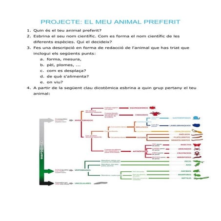 Animal preferit guia de l'alumne (2) | PDF