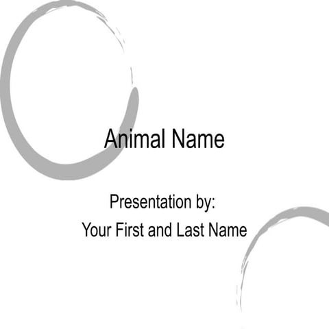 Animal presentation | PPT