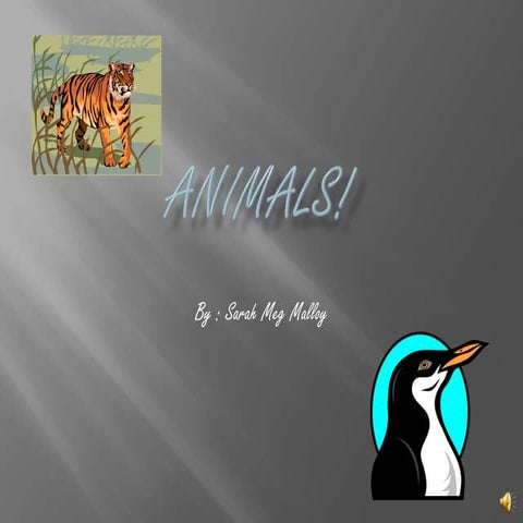 Animal presentation | PPT
