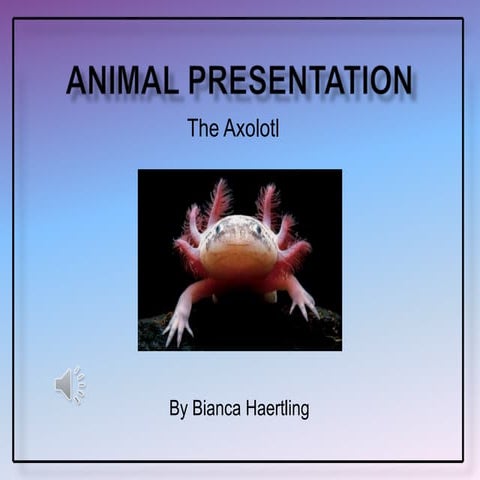 Animal presentation | PPTX