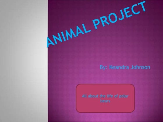 Animal Research | PPT