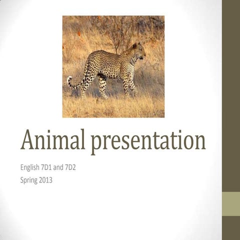 Animal presentation y7 | PPTX