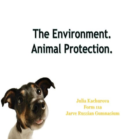 The environment. Animal protection. | POTX