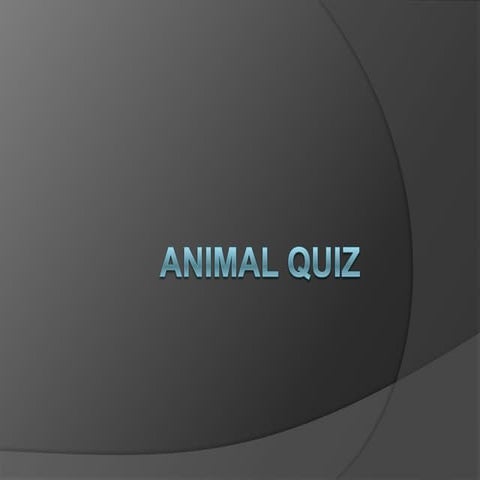 Animal quiz | PPT